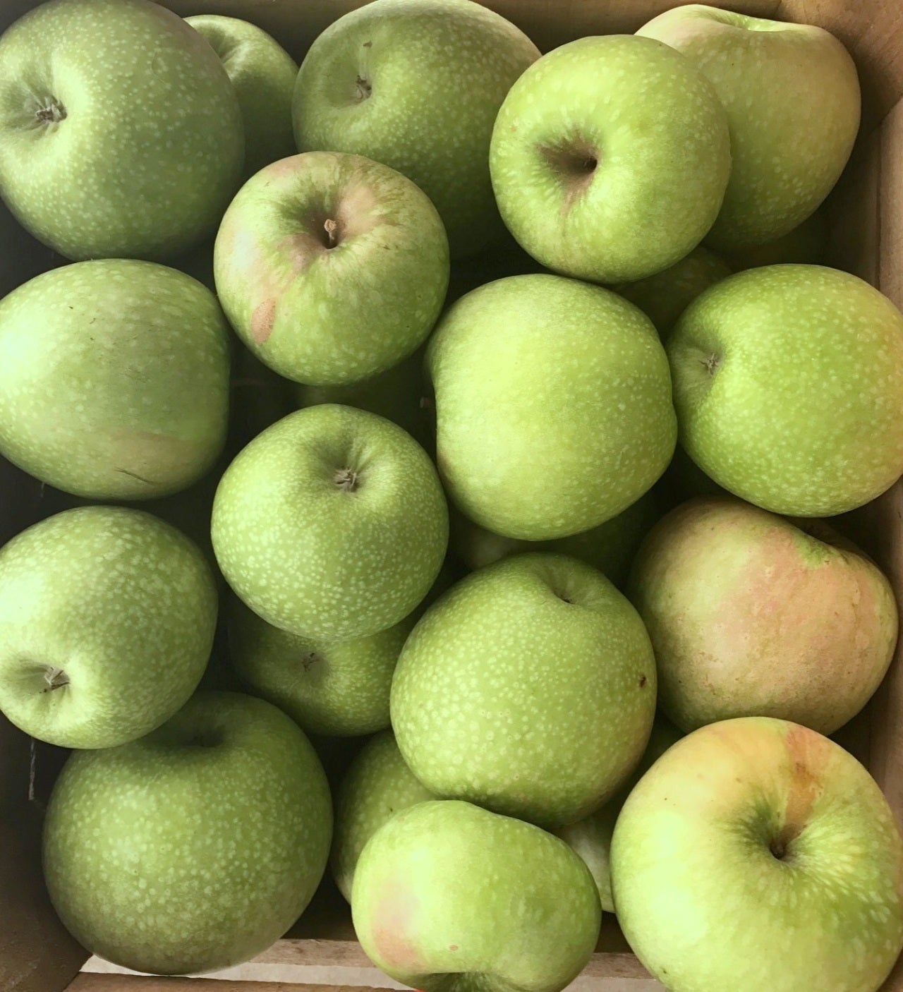 Granny Smith / 3 lb. Bag | Kuhn Orchards Online Store: Order and Pay ...
